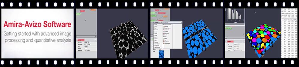 How to work with Amira :: Documentation for Hugo Learn Theme