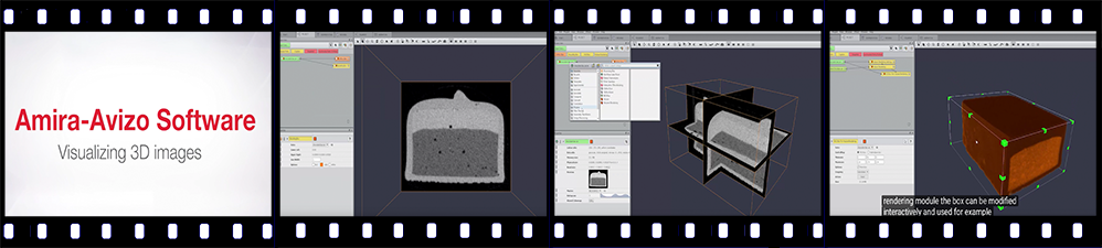 How to work with Amira :: Documentation for Hugo Learn Theme